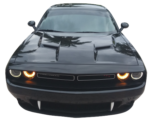 Welcome To AutoFangs Car Fangs For Your Car